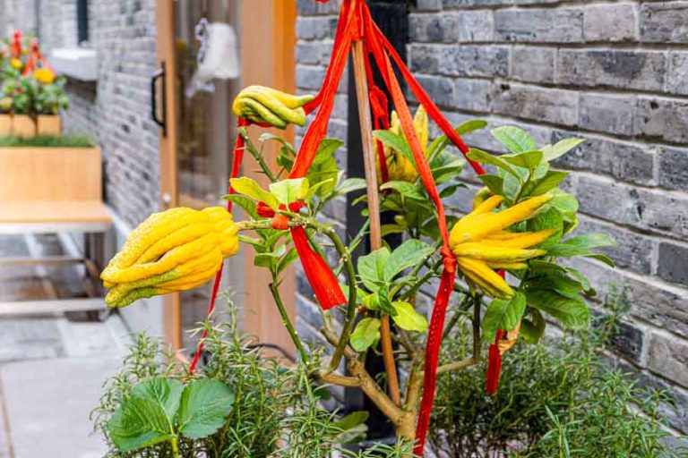 Hong Shou Fang (鸿寿坊): A New Food & Drink Hub in Putuo, Shanghai ...